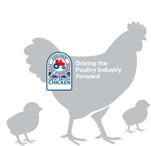 P.D.Hook Hatcheries – British chicken