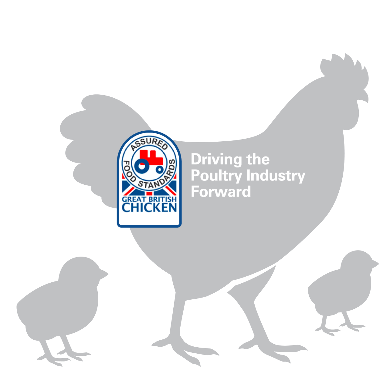 P.D.Hook Hatcheries – British chicken