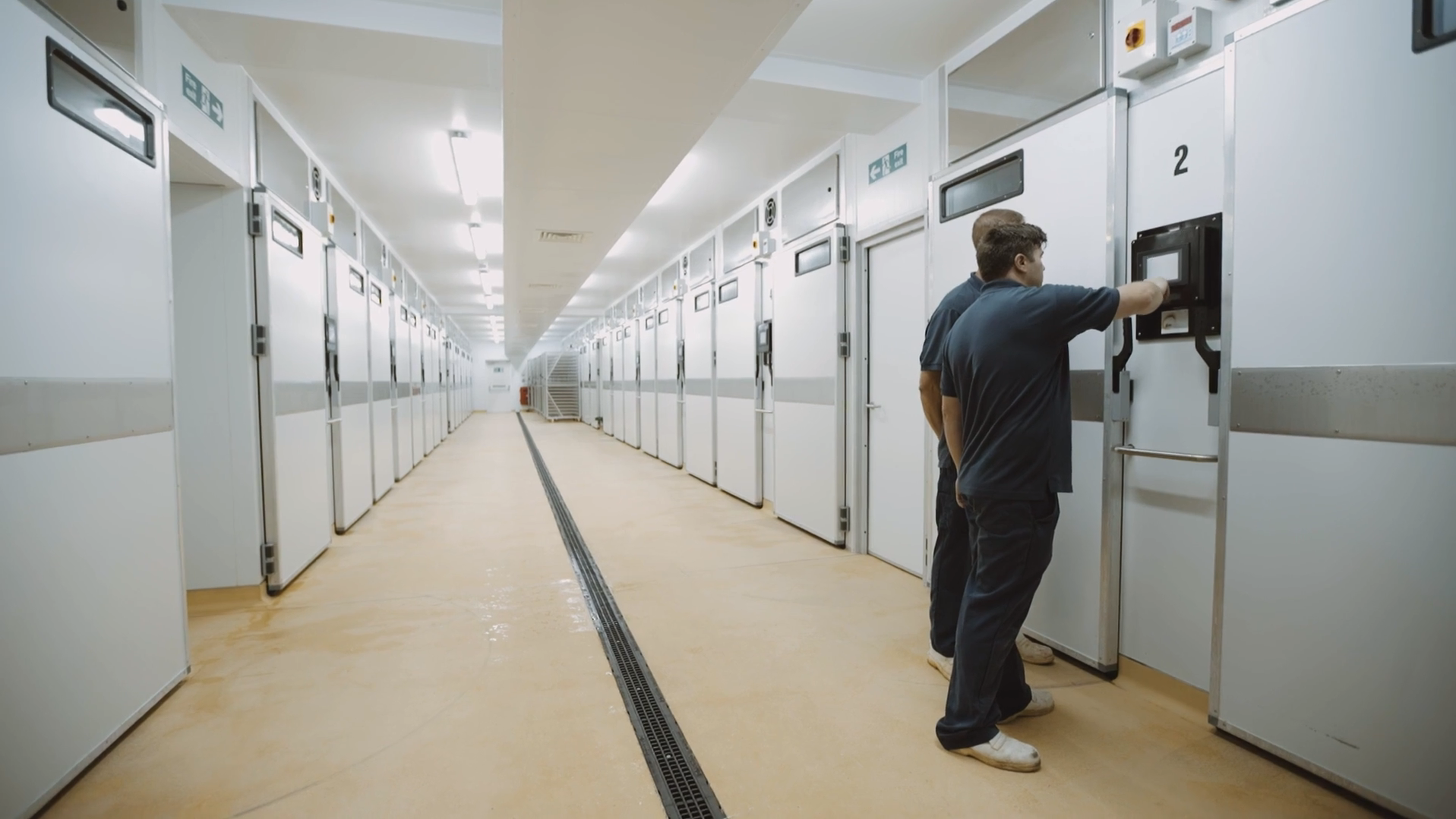 P.D. Hook (Hatcheries) Limited - British Chicken